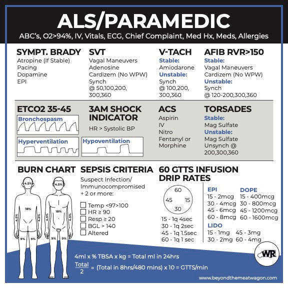 ALS Medical Reference Stickers (Whole Pack) – Beyond The Meat Wagon